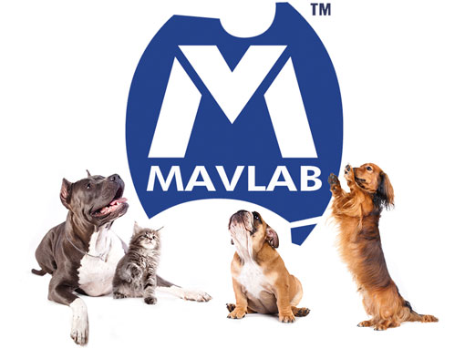 Mavlab