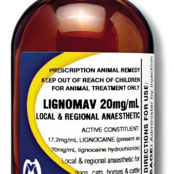 Prescription | Mavlab