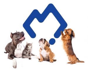 Direa Tablets | Mavlab