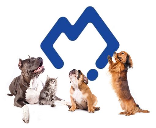 Direa Tablets | Mavlab