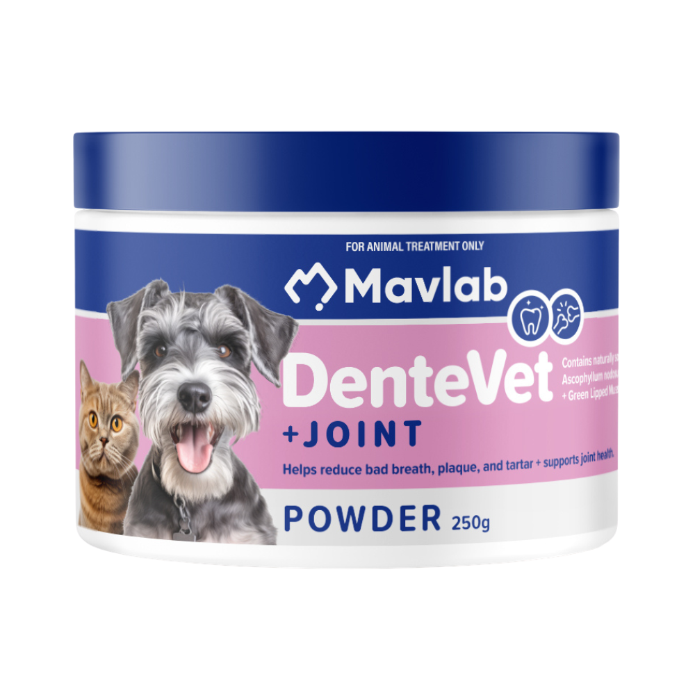 DenteVet® + JOINT Powder | Mavlab