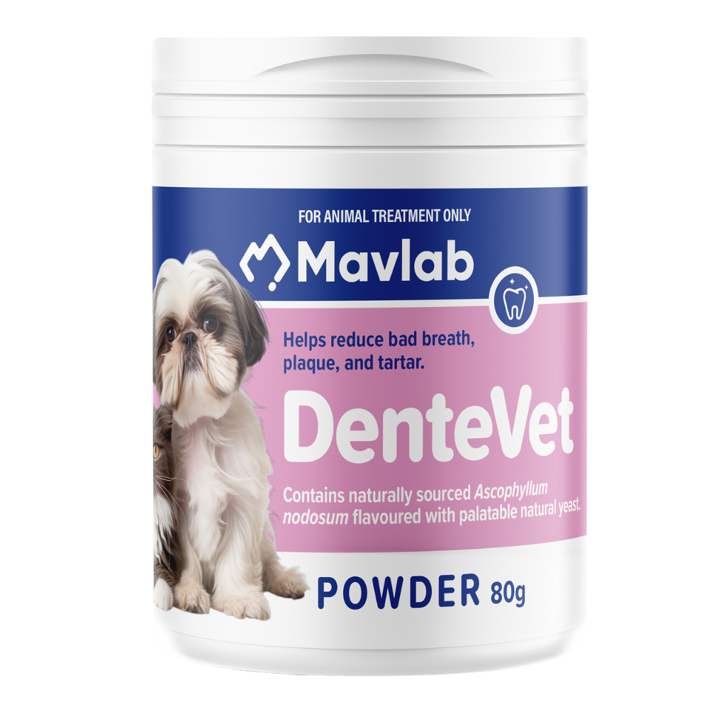 DenteVet® Powder | Mavlab